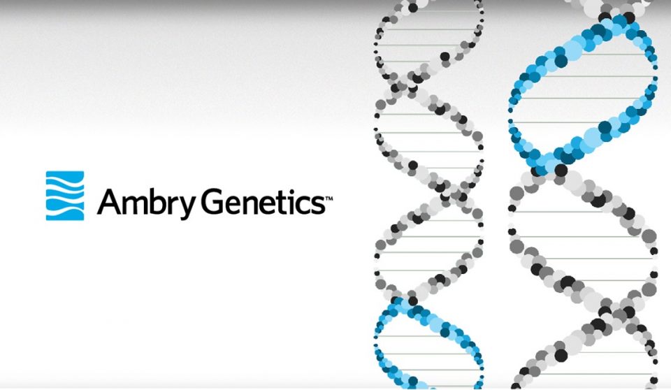 Ambry Genetics - Overview | Presentation portfolio | BrightCarbon