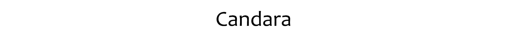 Best Fonts For Professional Presentation Powerpoint Pnapicture