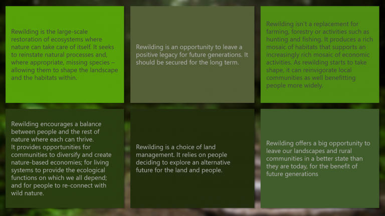 Accessibility in PowerPoint: Presentations for people with colour ...