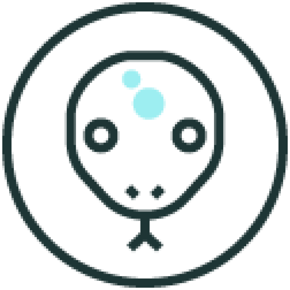 Amy Dowler | BrightCarbon