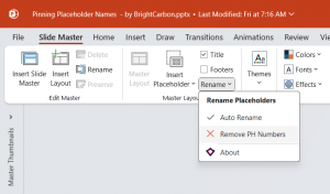 Pinning down PowerPoint placeholder names for more accessible ...